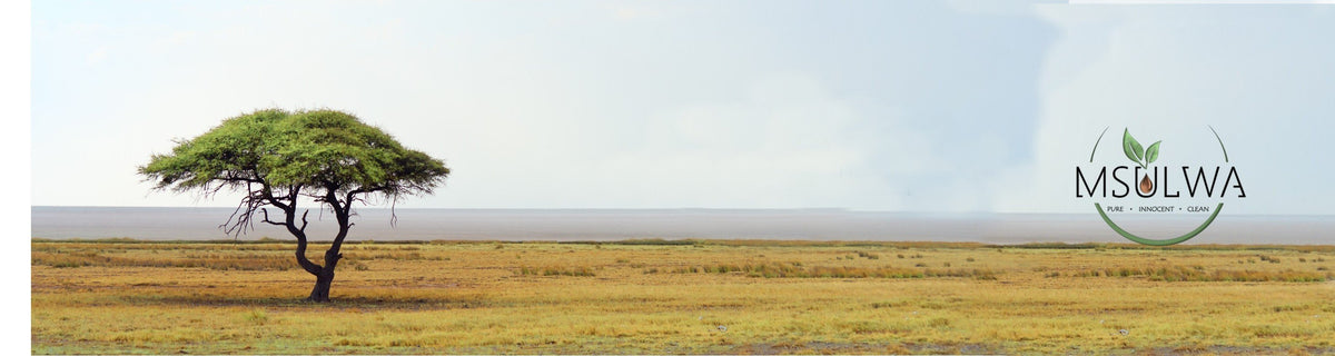 The Msulwa Tree